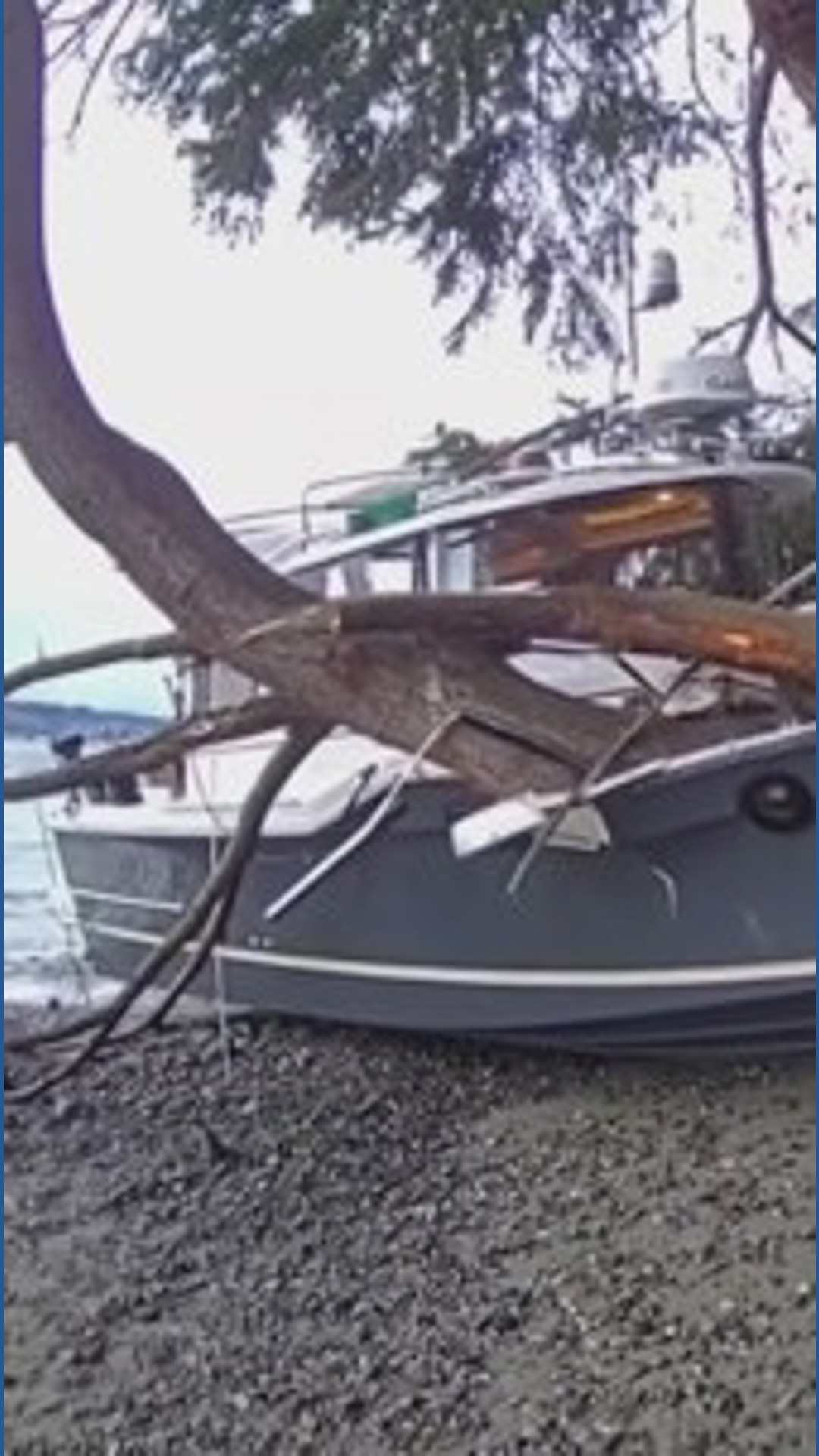 Boat crashes into tree in Gig Harbor | king5.com