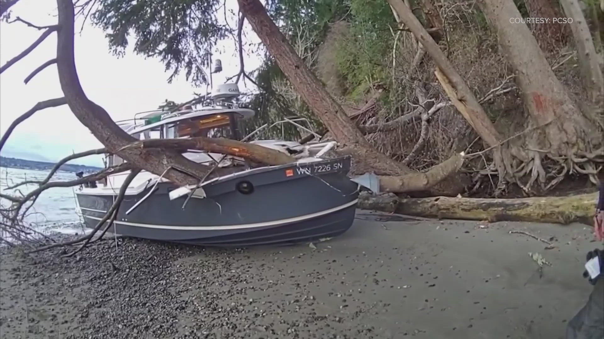 Boat crashes into tree in Gig Harbor | king5.com