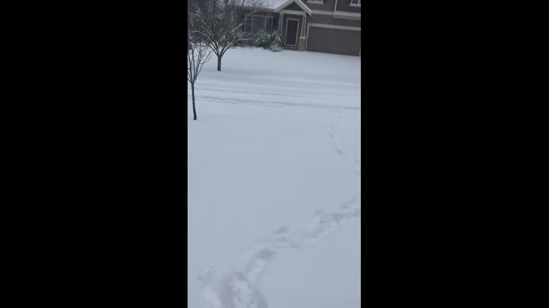 7 inches of snow for bothell | king5.com