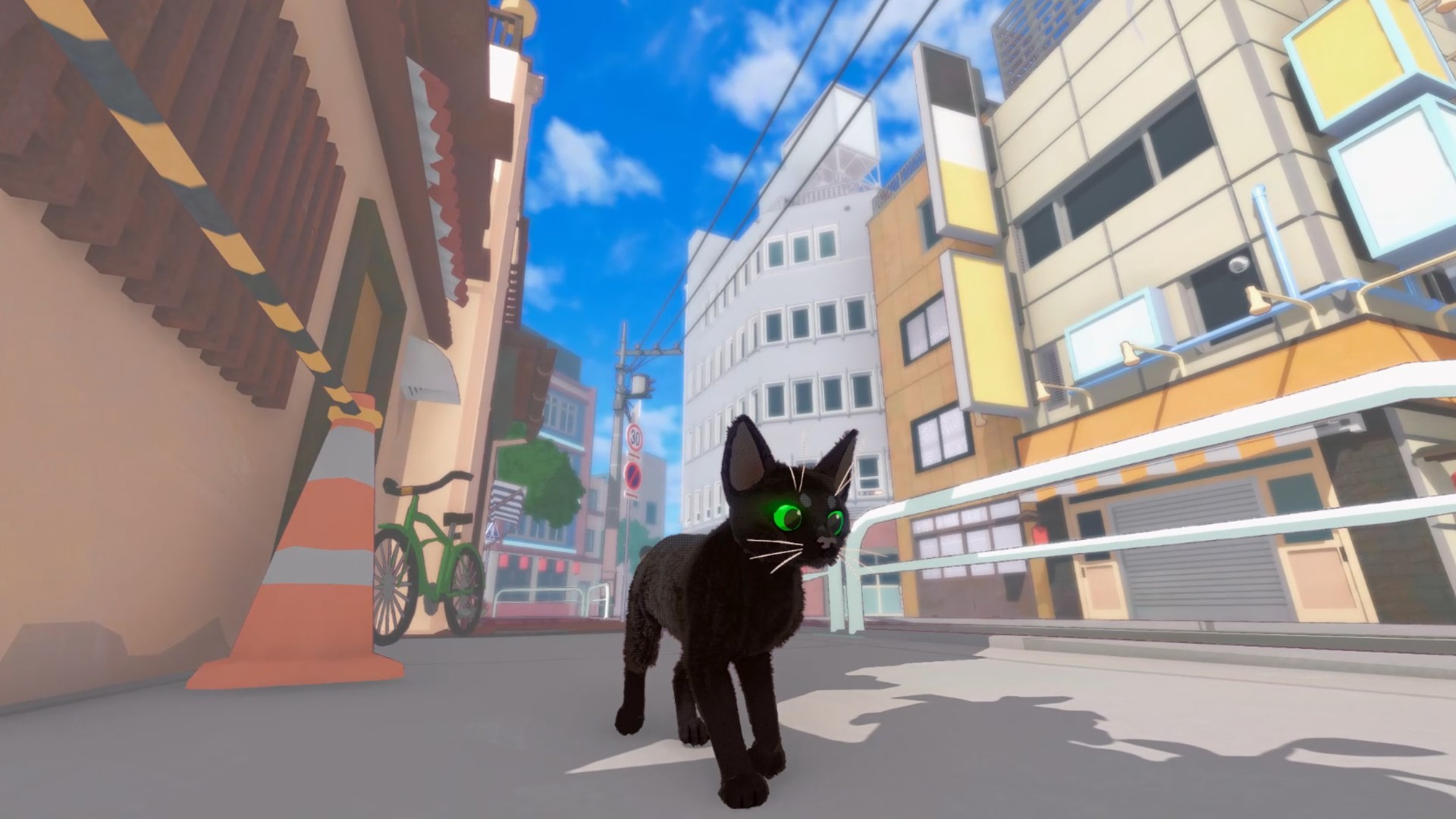 A Bellevue man is creating a video game where you play as a cat | king5.com