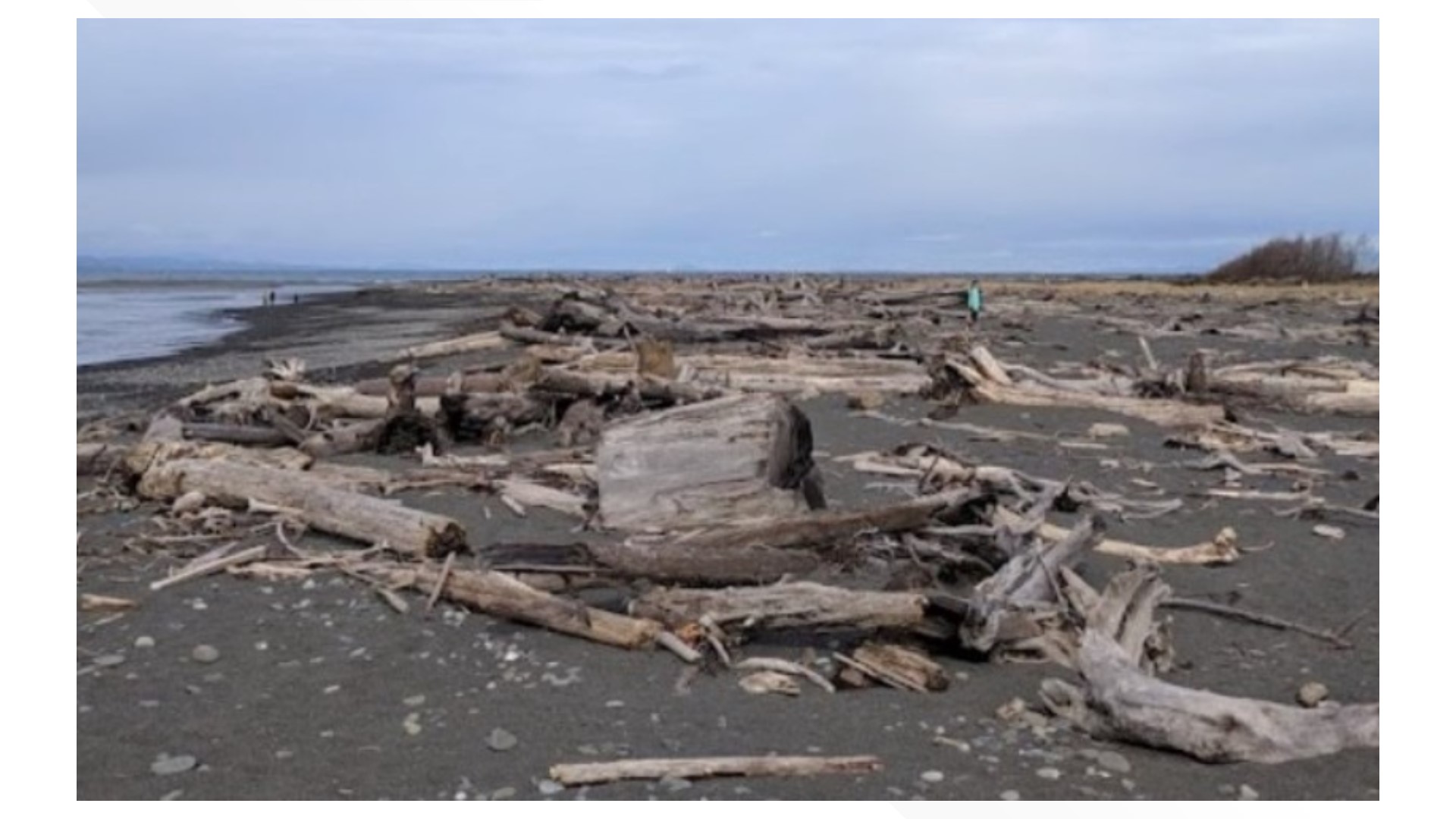 Why do feet inside shoes wash up on Salish Sea coastlines? | king5.com