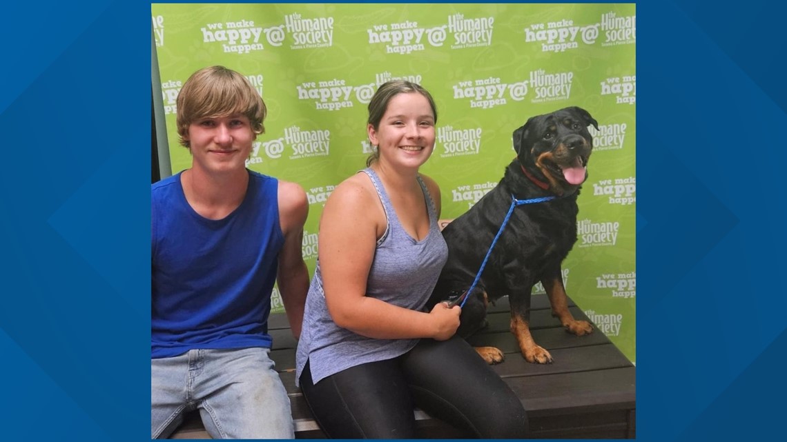 People Adopt Nearly 300 Animals From Tacoma Pierce County Humane