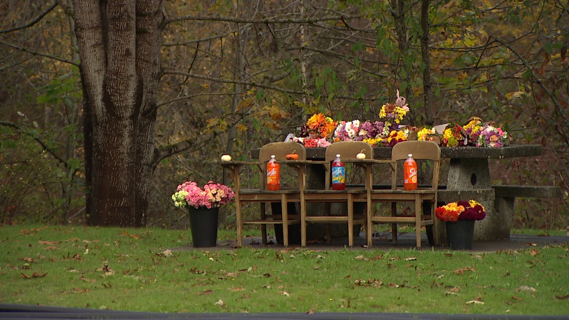 Defense attorneys in Fall City quintuple homicide spend day at crime ...