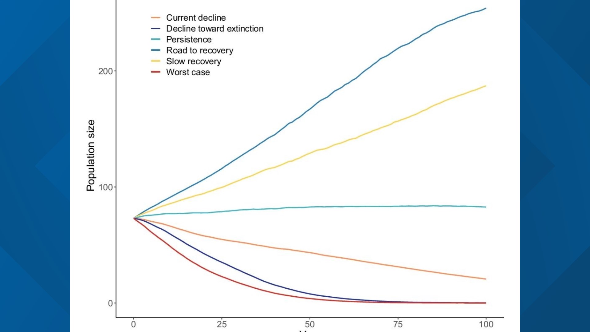 Nature study: Southern Resident orcas risk extinction | king5.com