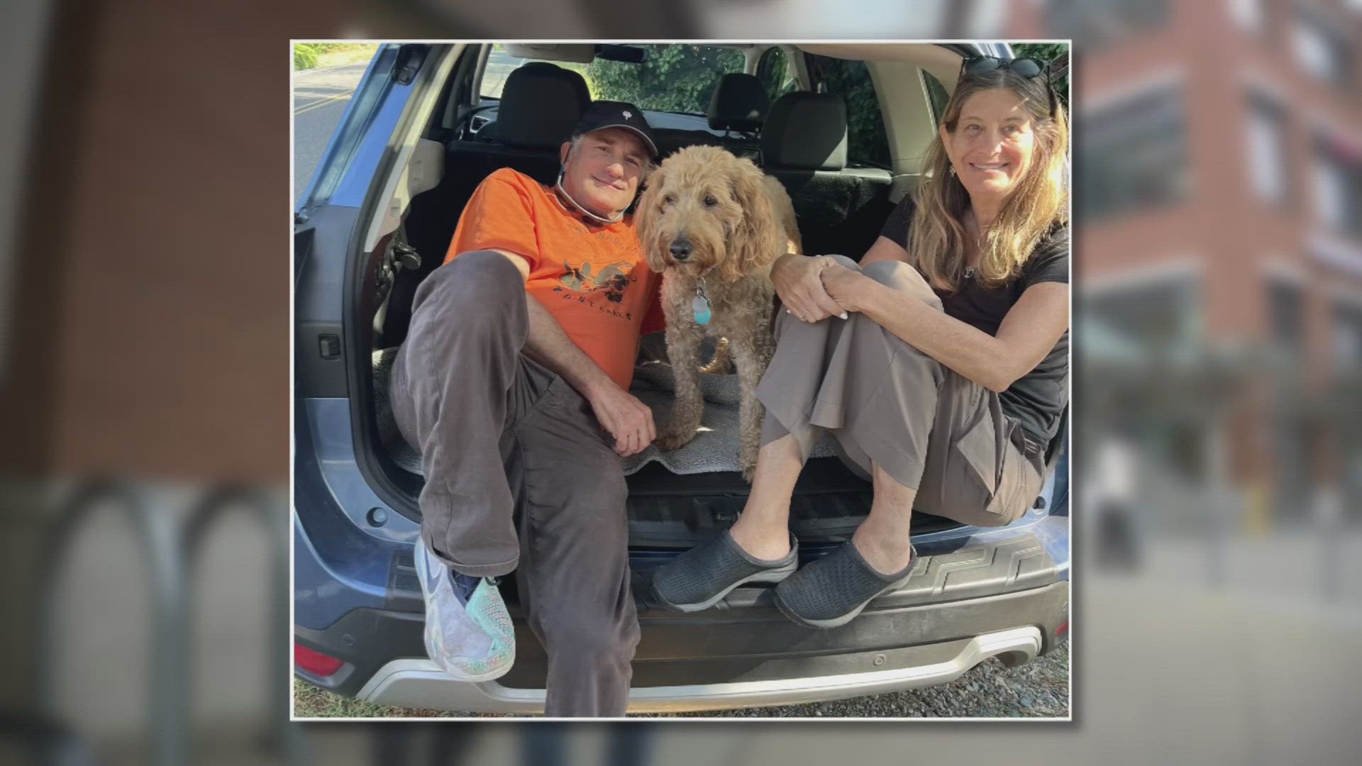 Senior dog reunited with owners after they say he was stolen outside ...
