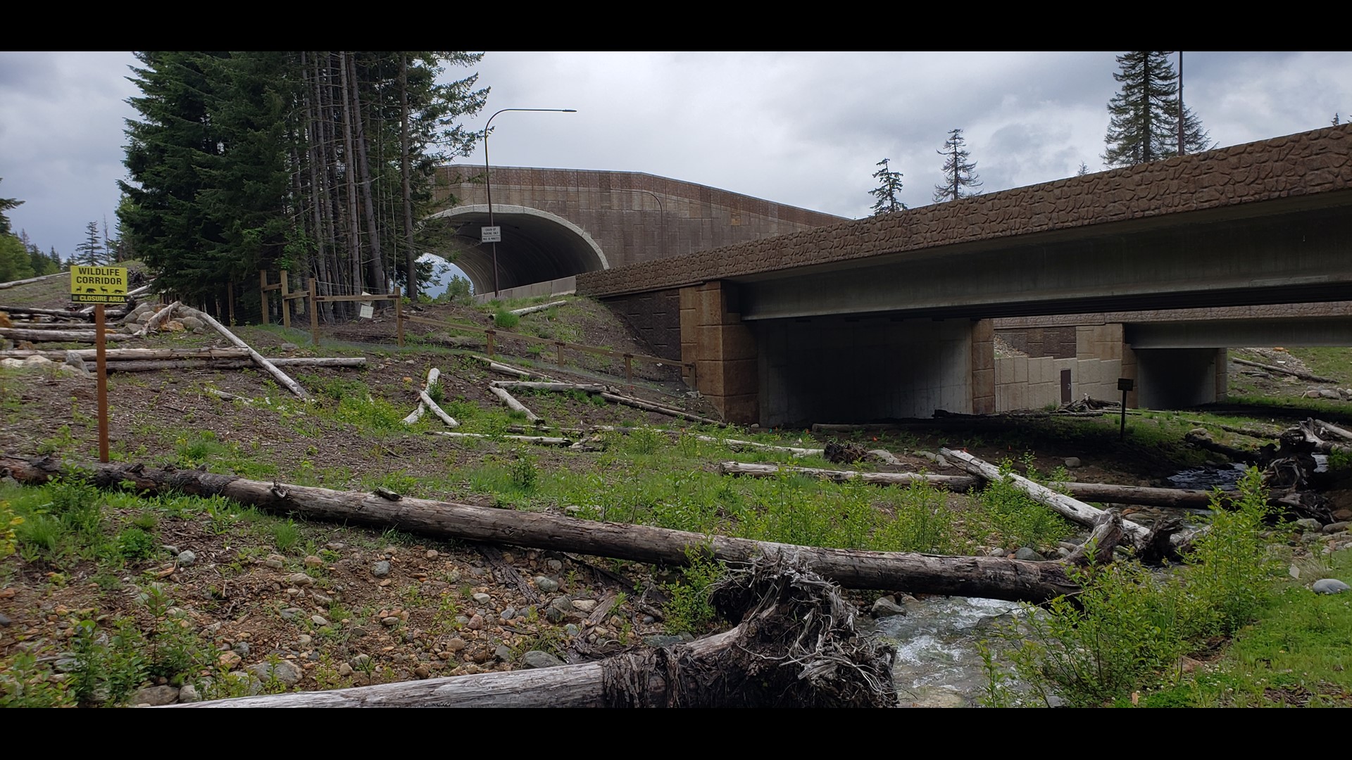 WSDOT building wildlife crossings over I-90 near Snoqualmie Pass | king5.com