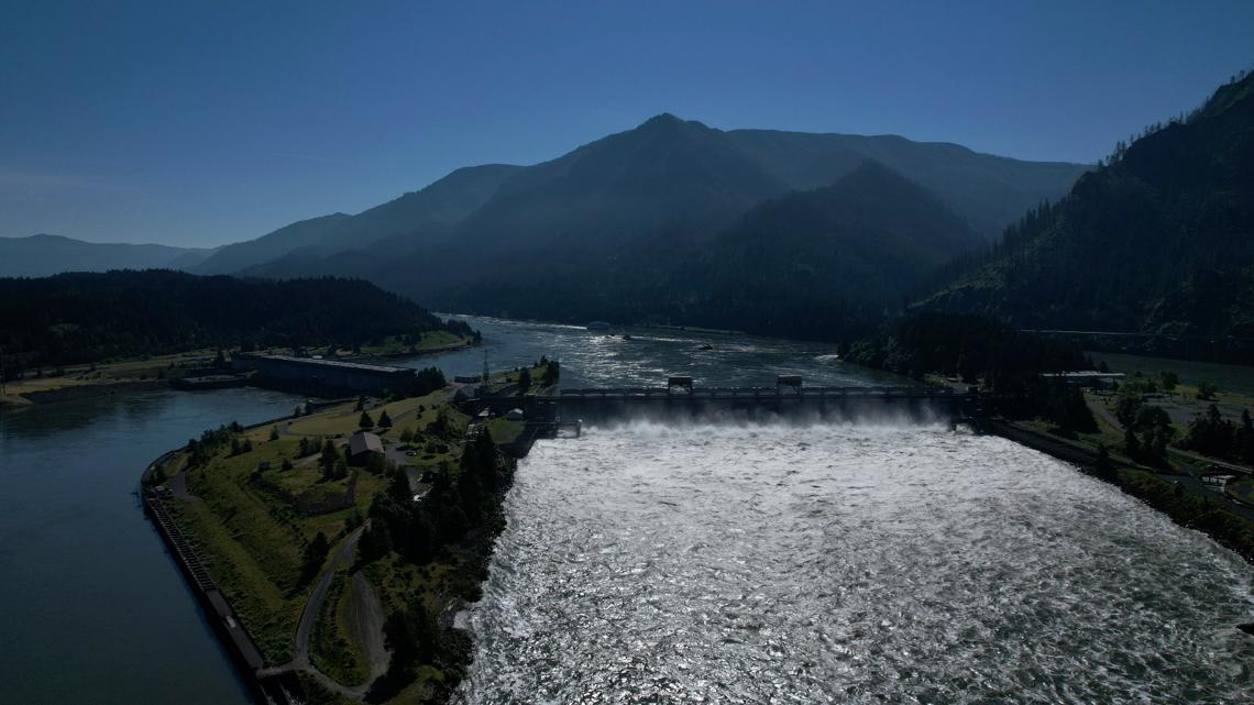 Conservationists ask court to OK Pacific Northwest dam operation ...