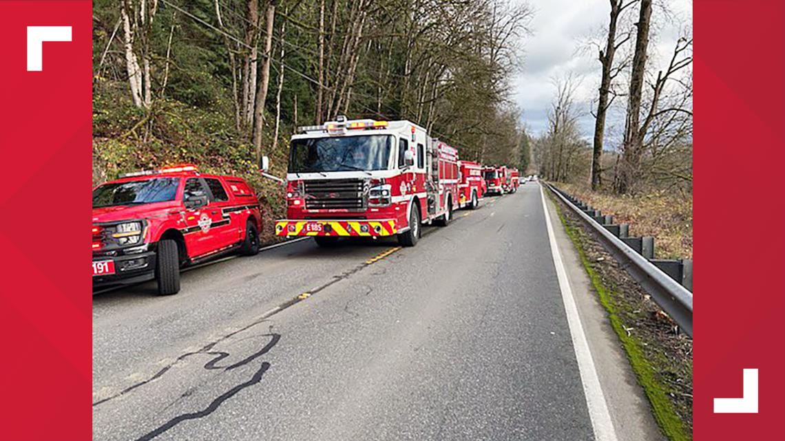 Falling tree kills 1, critically injures another on SR 203 near Carnation | king5.com