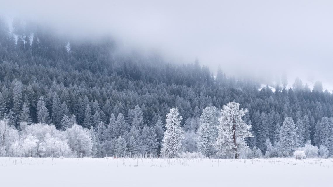 Scientists will monitor Lumen Field seismic activity during Seahawks ...