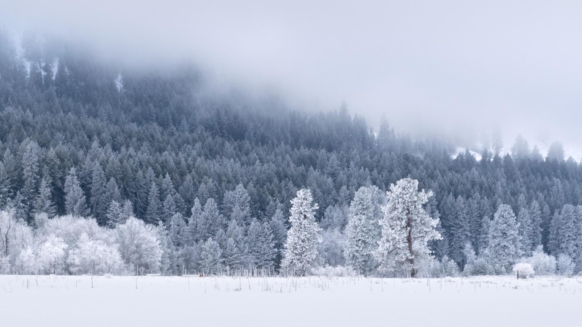 Jake Whittenberg | king5.com