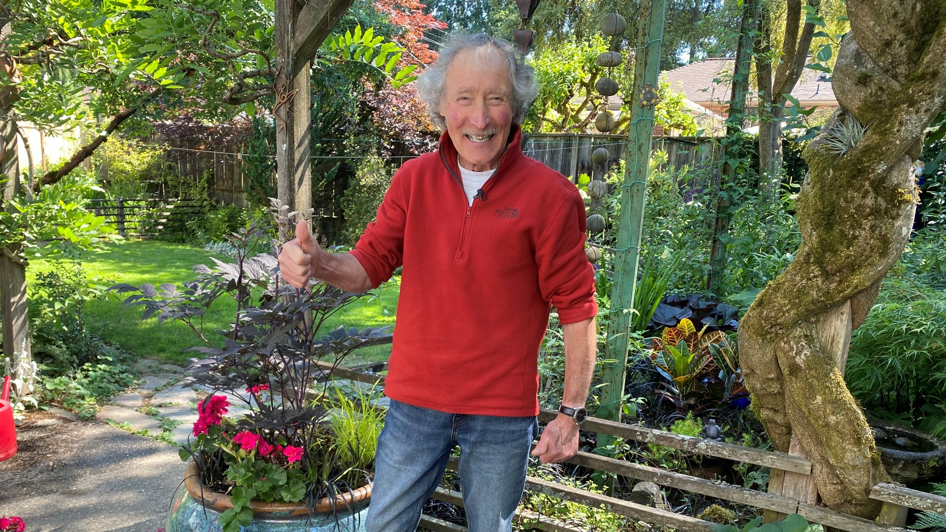 The fine art of container care according to Ciscoe | king5.com