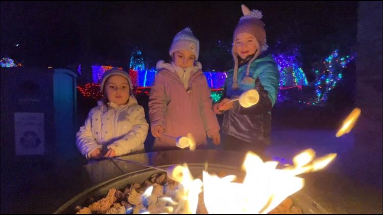 Tacoma's Point Defiance Zoo celebrates 35 years of Zoolights | king5.com