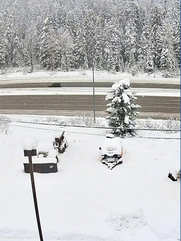 KING 5 Chief Meteorologist Mike Everett retires | king5.com