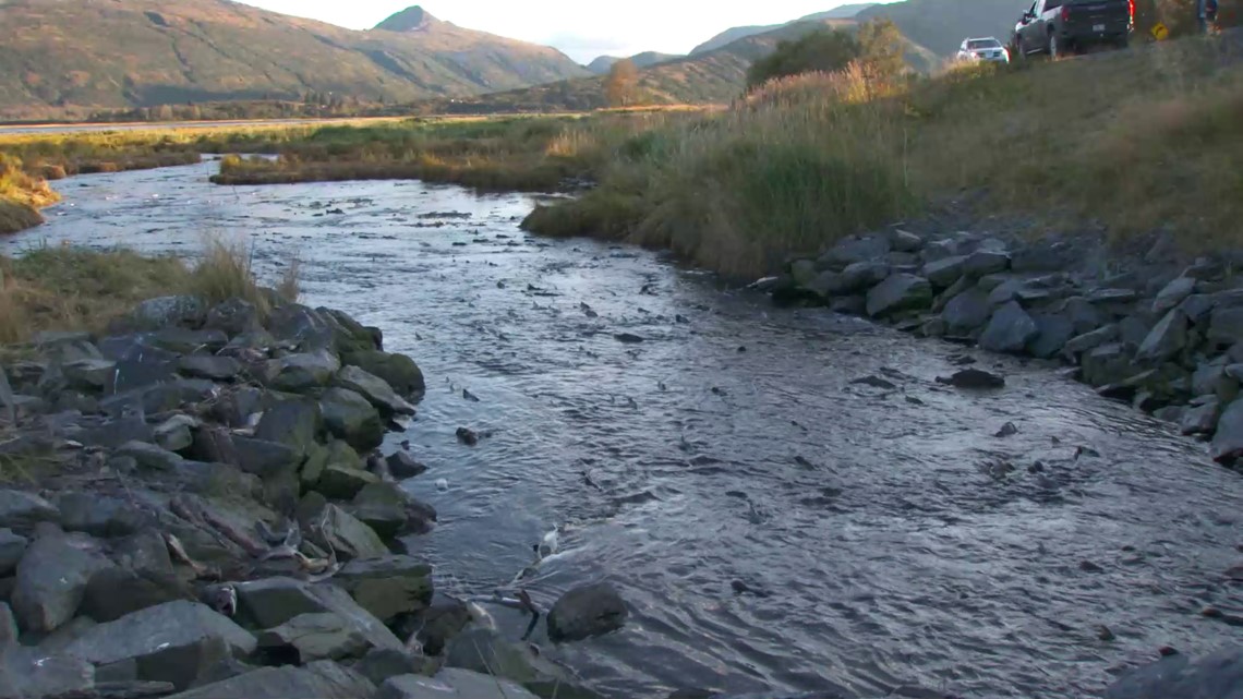 How 10 billion snow crab vanished from Alaskan waters and what it means for the seafood industry ...