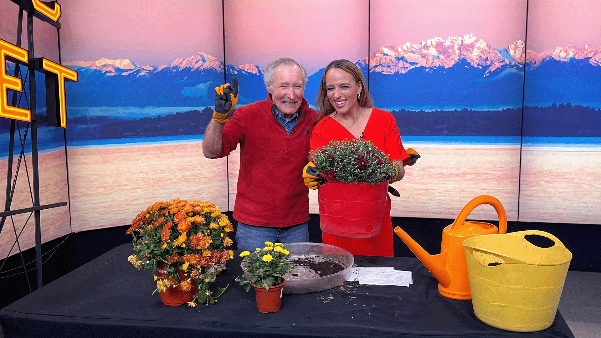 Color your garden for fall with Mums! - New Day NW | king5.com