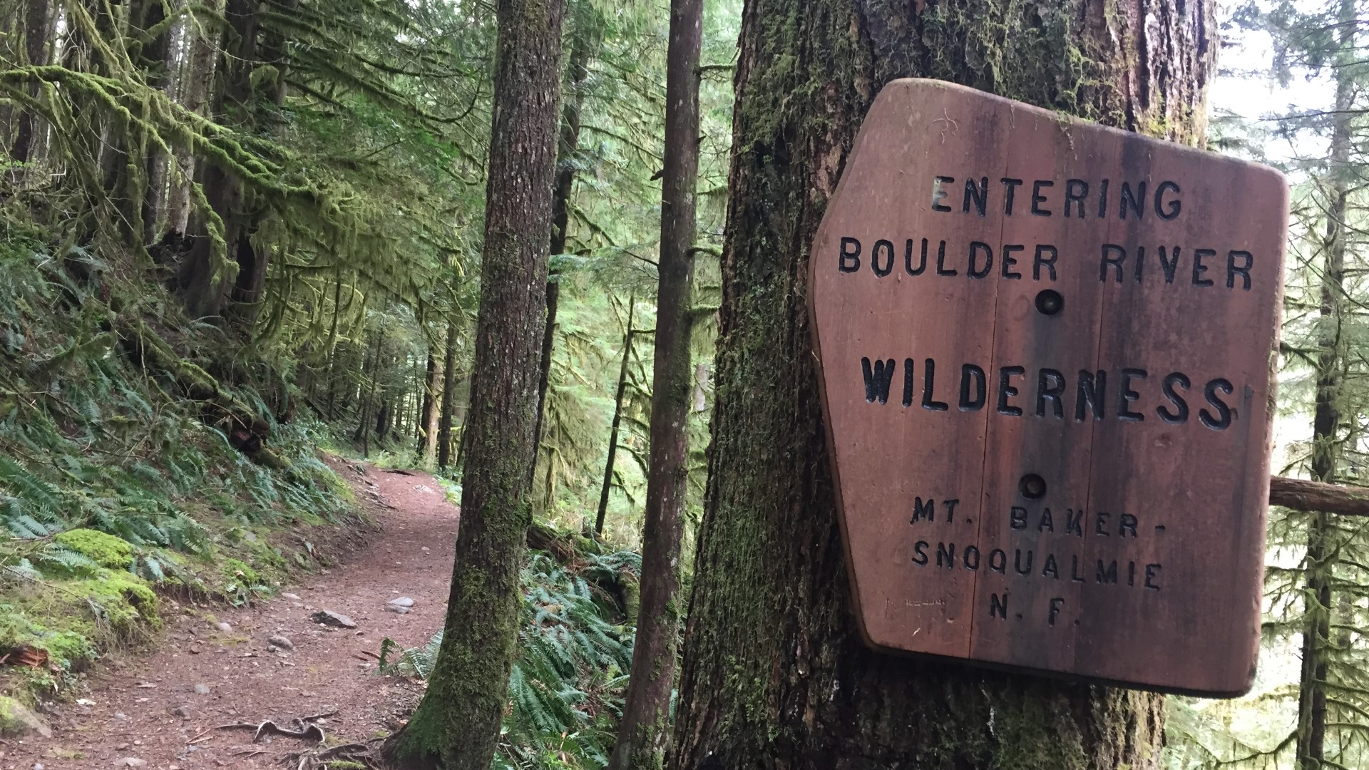 Boulder River Trail: Ben There, Done That | king5.com