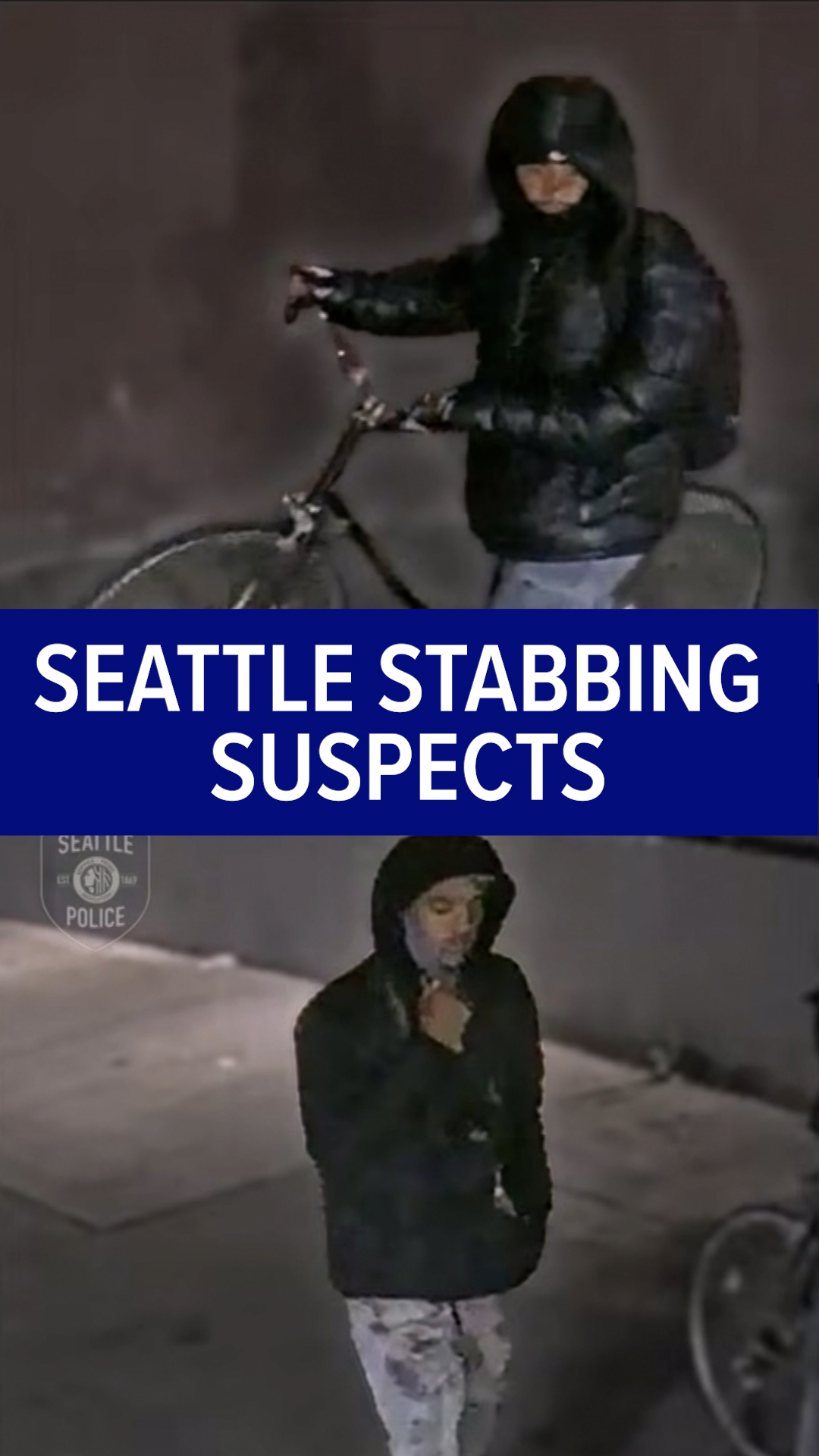Seattle police searching for deadly stabbing suspects | king5.com