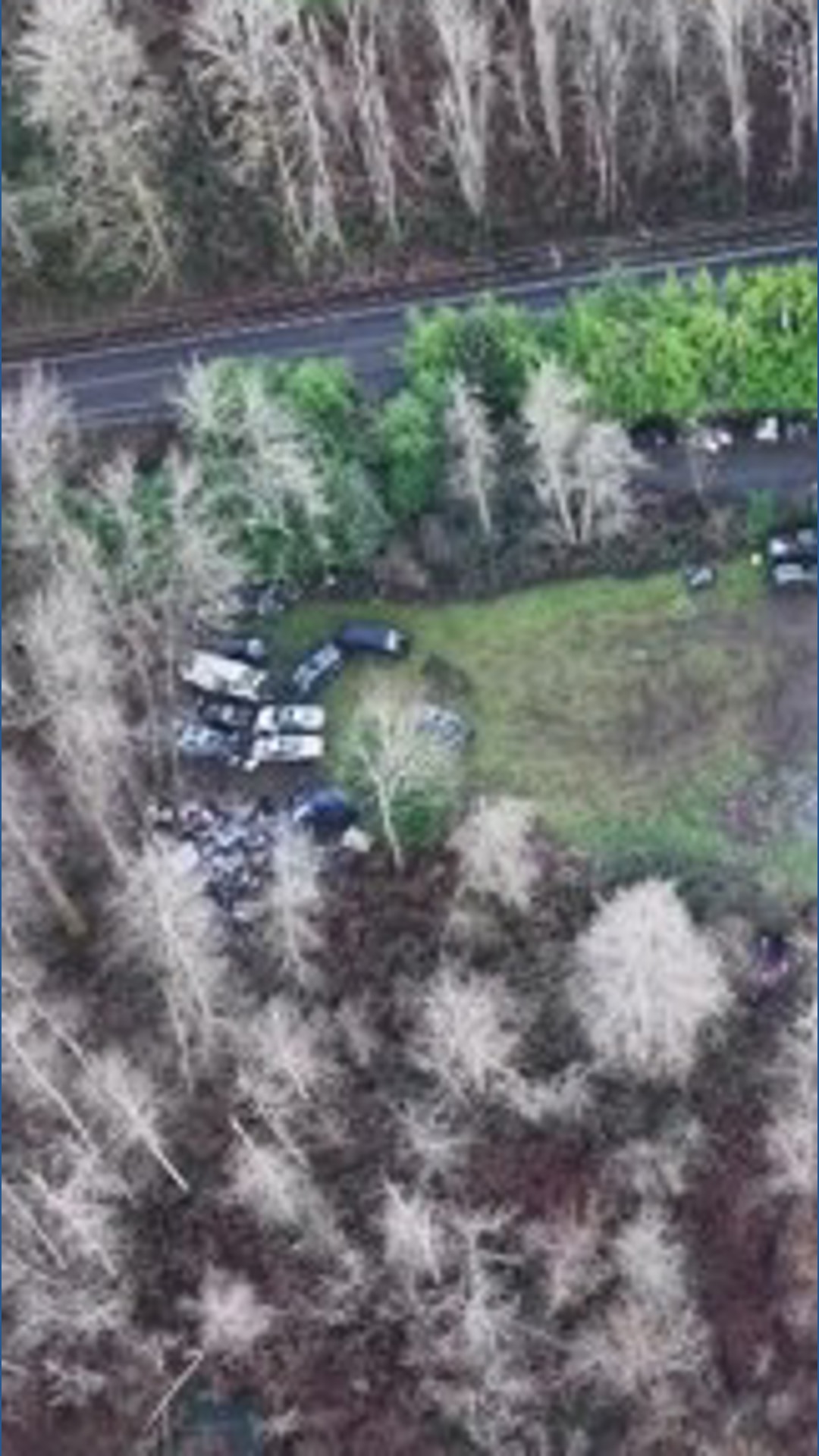 Criminal investigation underway into Maple Valley home where 10 kids ...