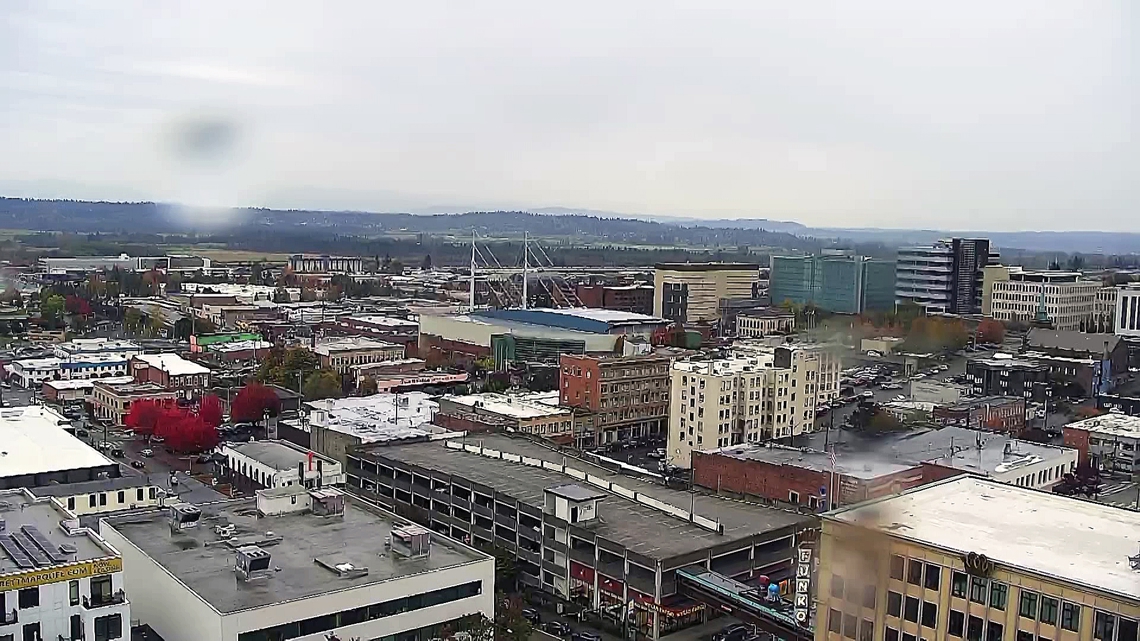 Orca J36 mourns calf in Pacific Northwest waters | king5.com