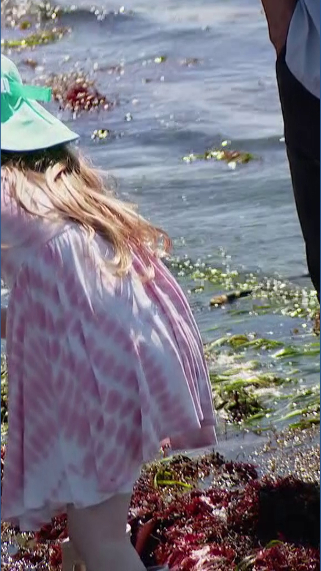 Exploring one of the lowest tides of the year at Richmond Beach | king5.com