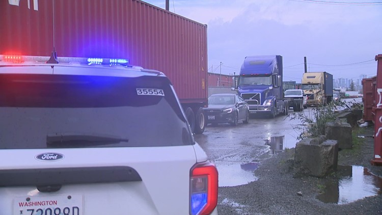 High winds cause power outages around Puget Sound area | king5.com