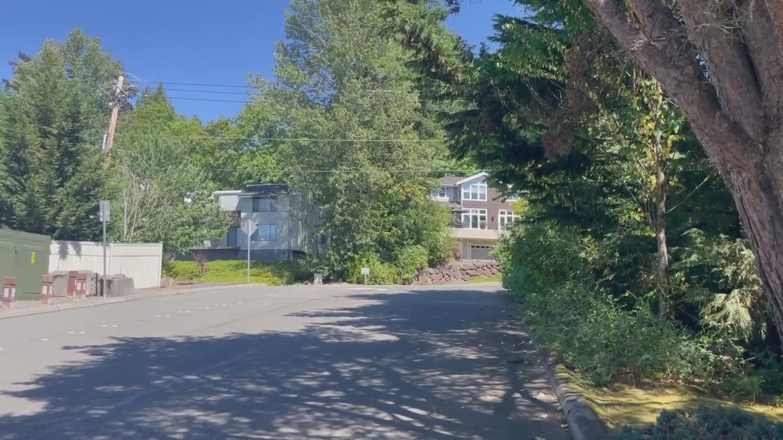 Milk Street's new book "Cookish" puts a fresh take on fast food at home ...