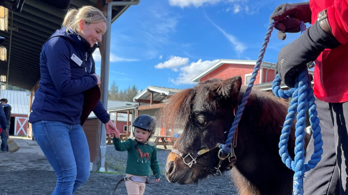 Horse Therapy helps little girl with autism communicate | king5.com