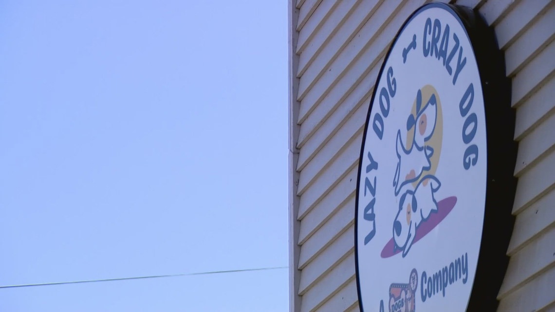 Lazy Dog Crazy Dog daycare shutters after threats following animal ...