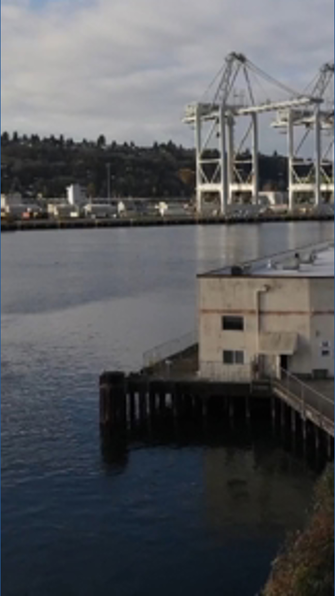 King County Council votes to temporarily fund the county's only film ...