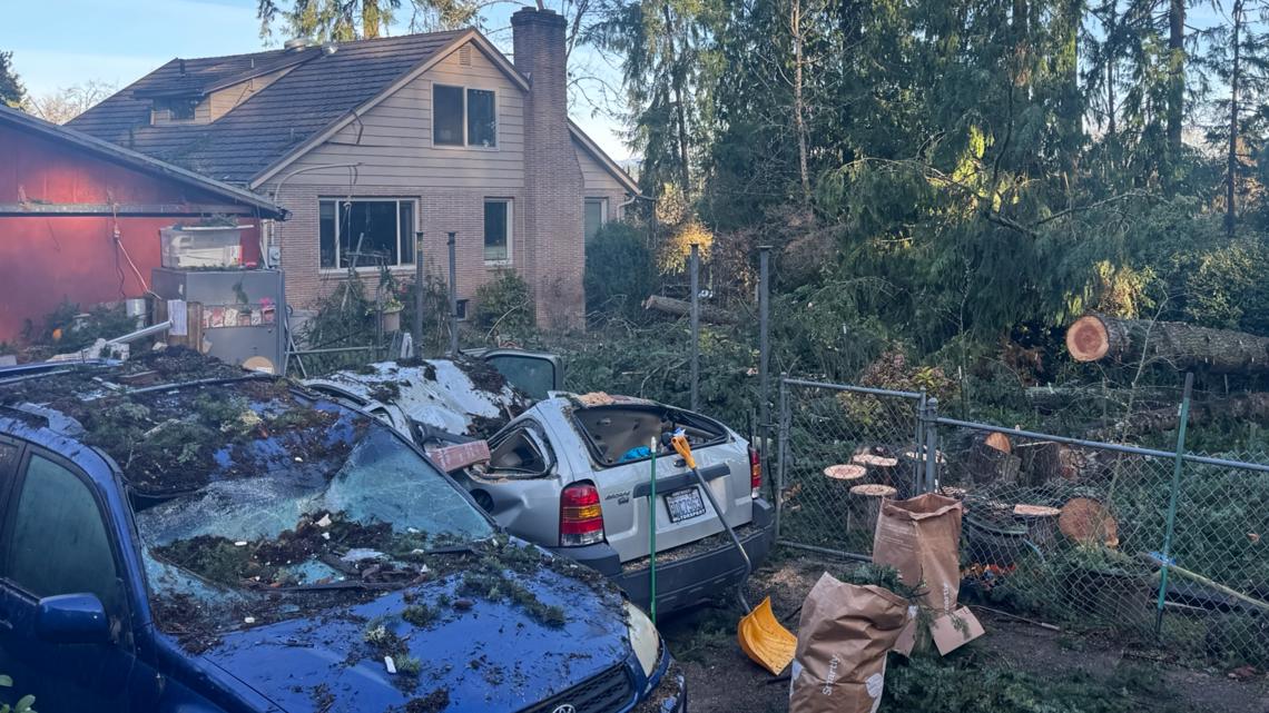Bellevue family still cleaning up after bomb cyclone damages home ...