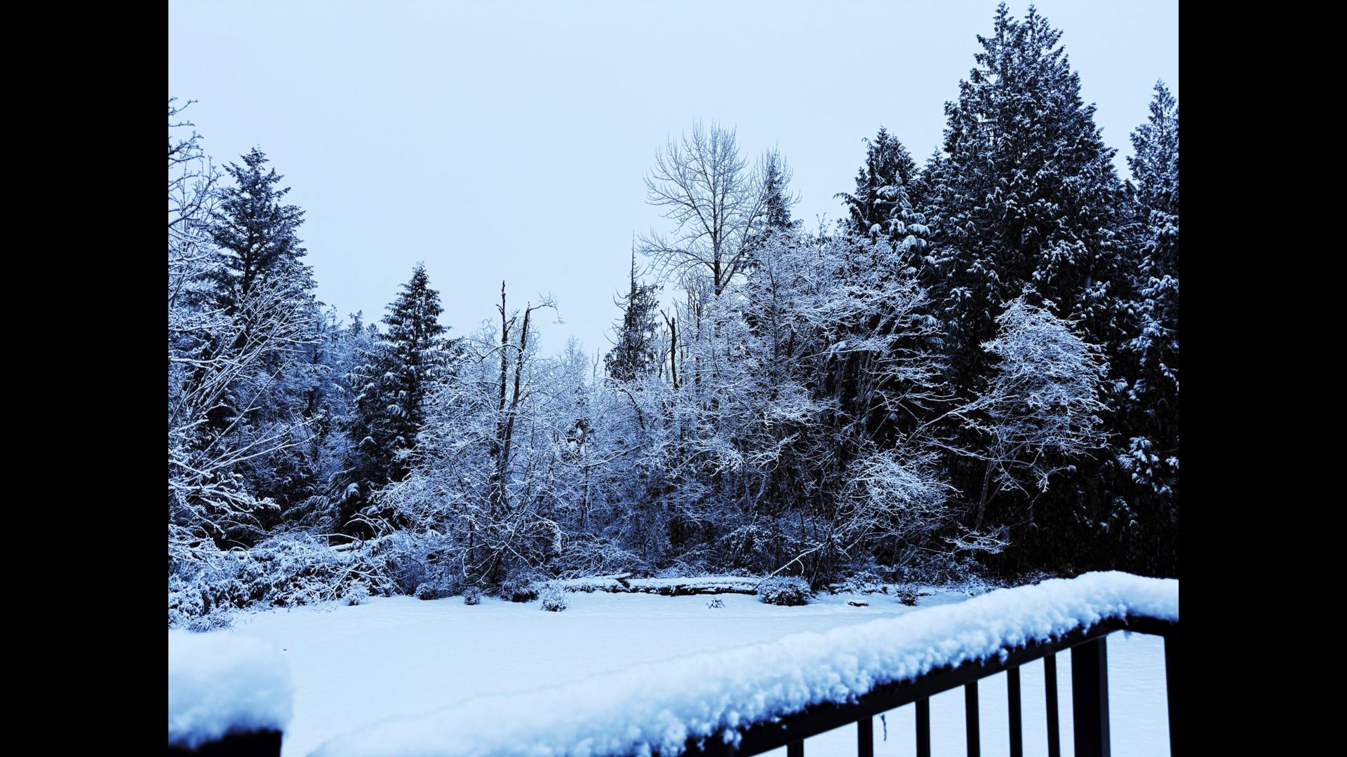 Near Me | Photos and Videos | king5.com