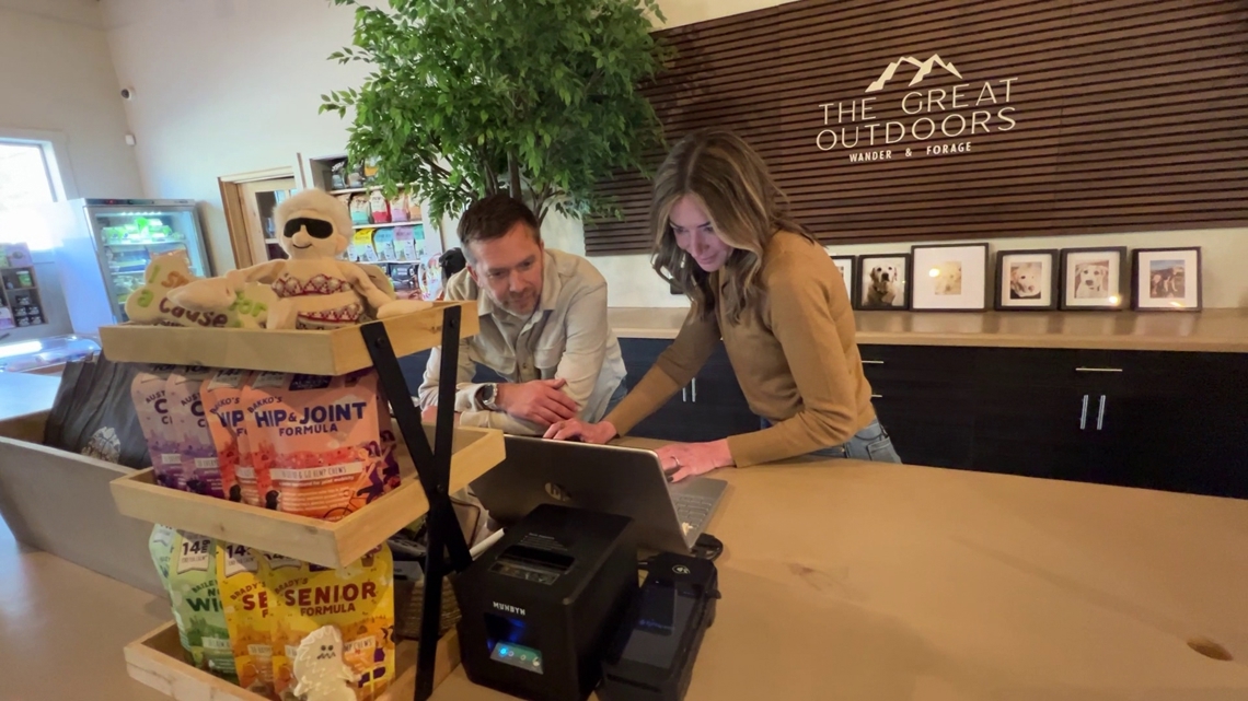 Kingston couple rescues 500 dogs from the Middle East | king5.com