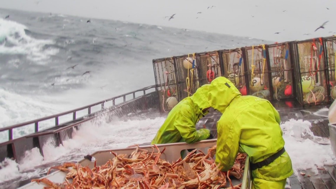 Crabbers seek solutions as they feel pinch of harvest closure | king5.com Crabbers seek solutions as they feel pinch of harvest closure | king5.com