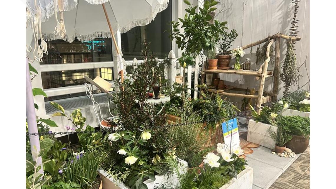 What to know about the Northwest Flower and Garden Festival at Seattle ...
