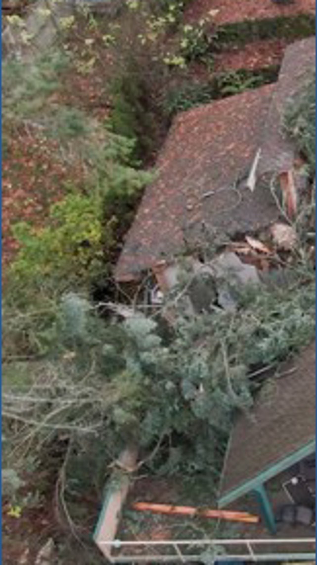 Washington's Bomb Cyclone: Recovery and resilience one year after the ...
