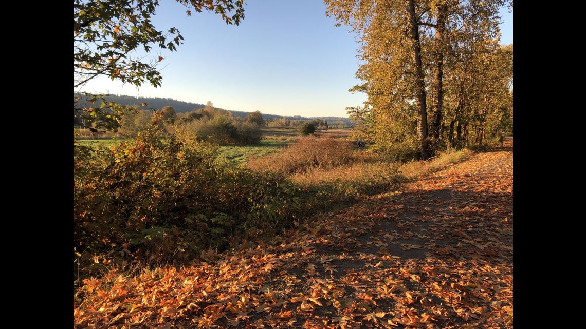 Every bed counts: Seattle women's shelter doubles capacity as unhoused ...