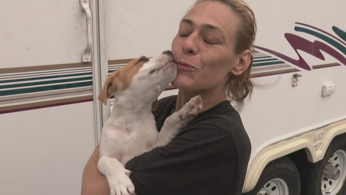 When do I need to stop for a school bus in Washington state? | king5.com