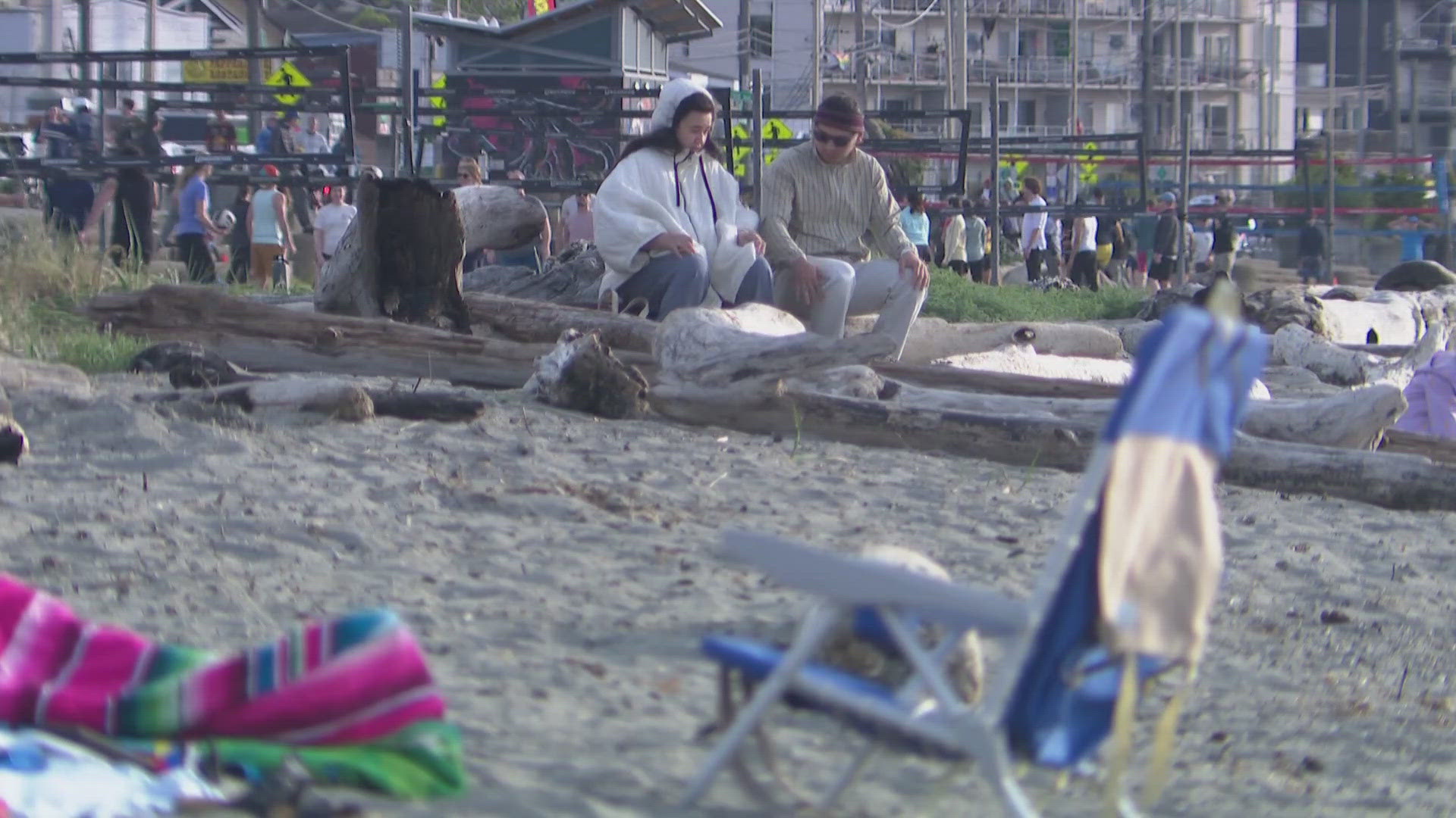 Seattle leaders take new actions to prevent crime at parks, beaches ...
