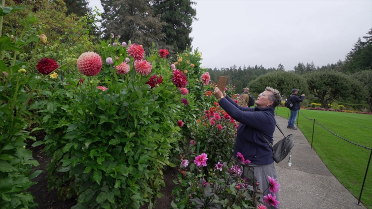 The Butchart Gardens is a global destination for flower fans | king5.com
