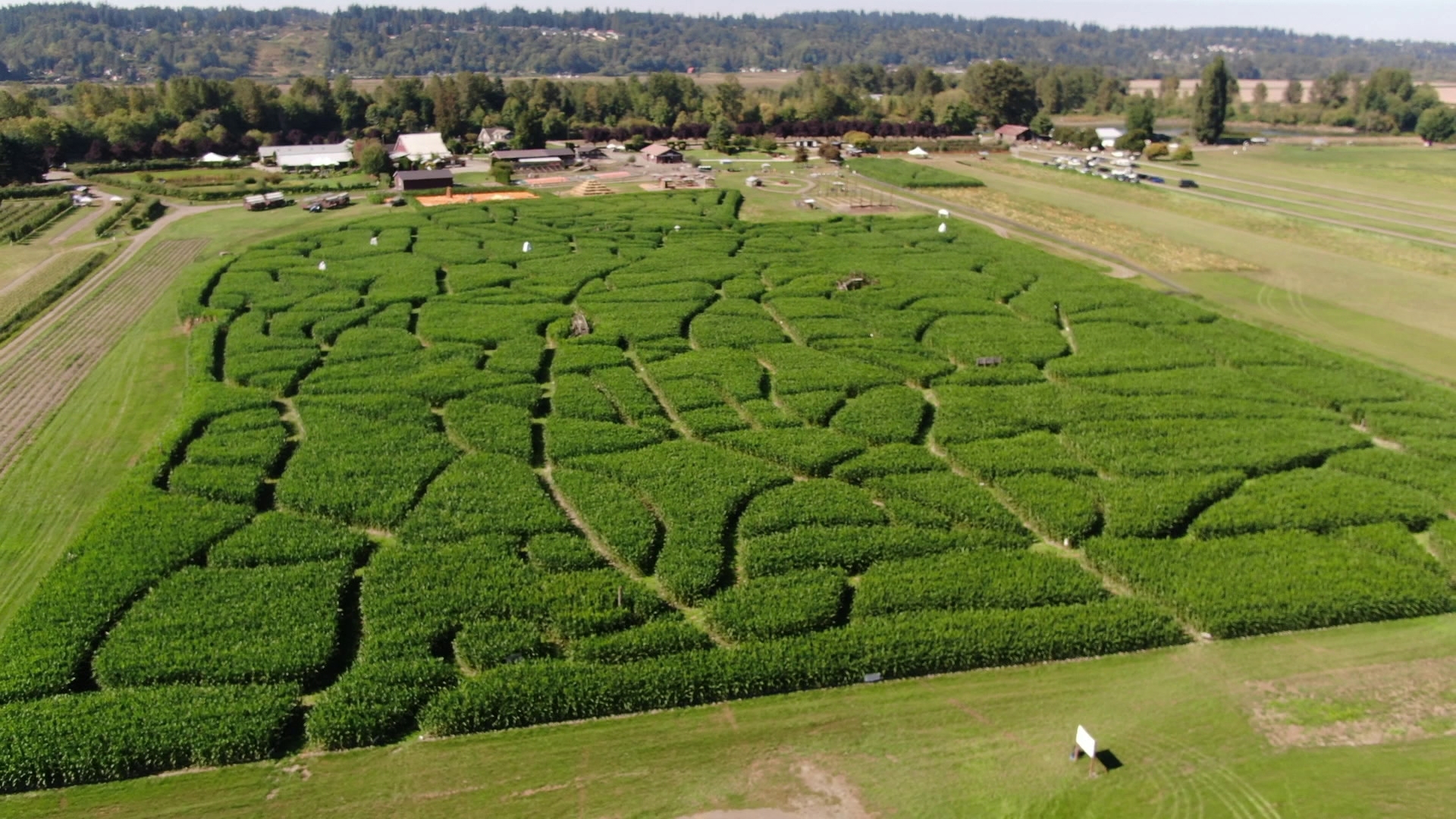 Swans Trail Farms kick off fall with Harvest Festival | king5.com