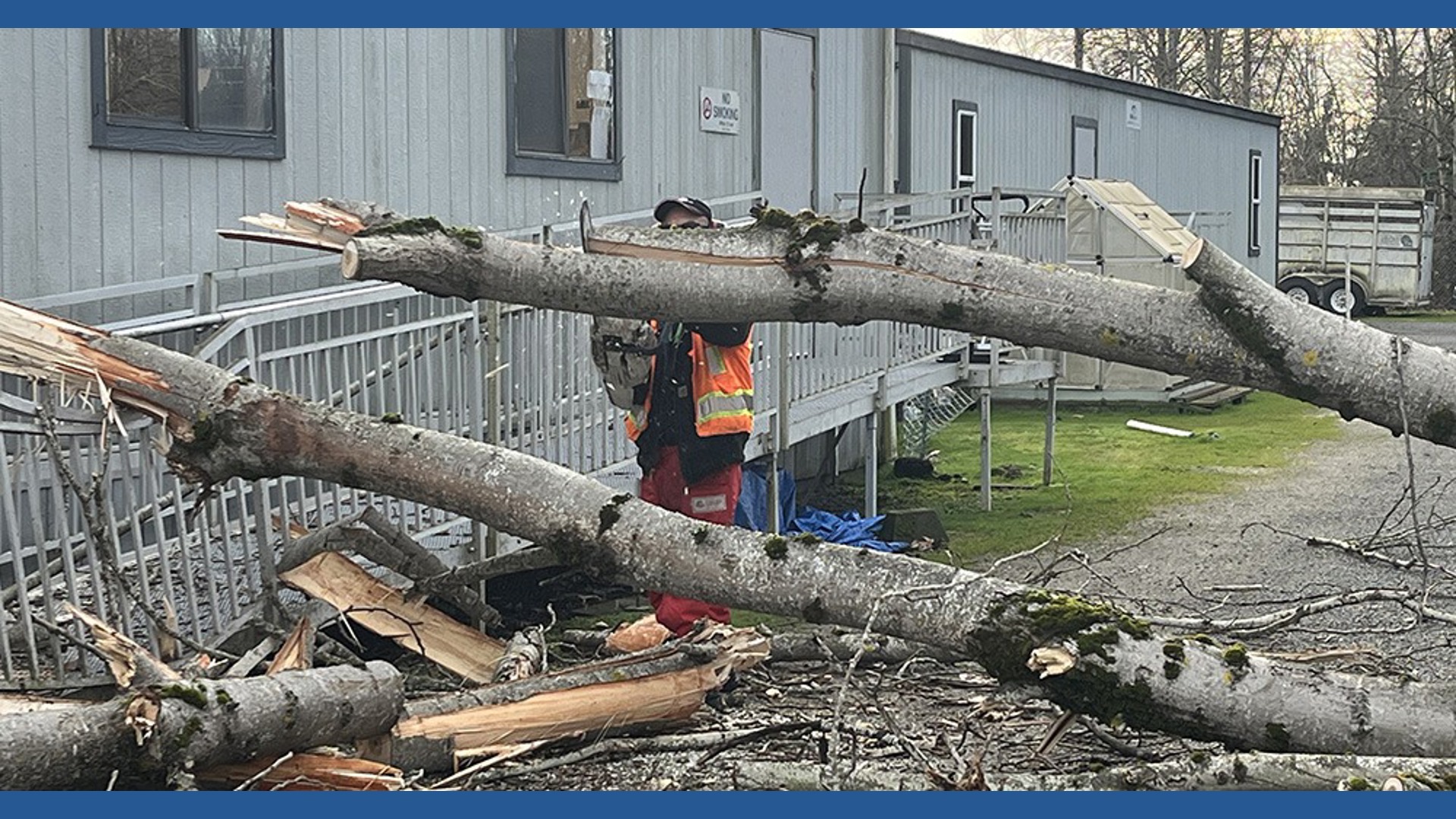 DSHS says Washington SNAP benefits remain available despite court ...