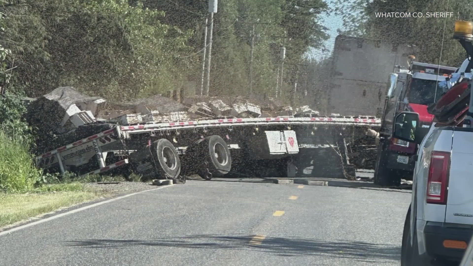 Semi-truck carrying 250 million bees crashes in Whatcom County. Now the ...
