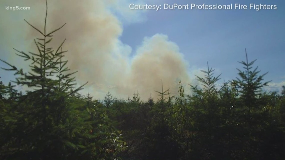 City of DuPont will not put emergency ban on fireworks after brush fire ...