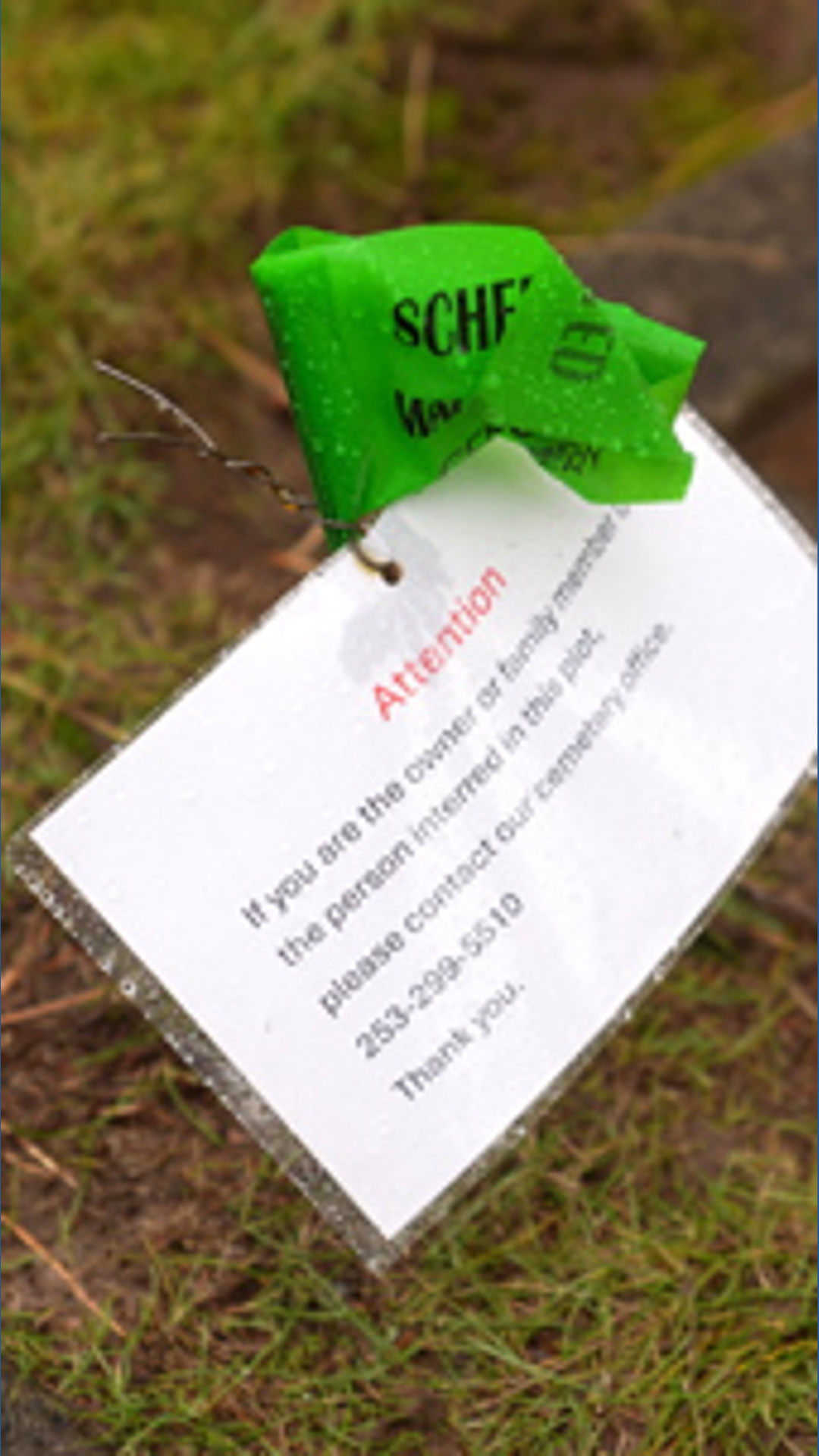 Police investigating bronze plaques stolen from graves at Sumner ...