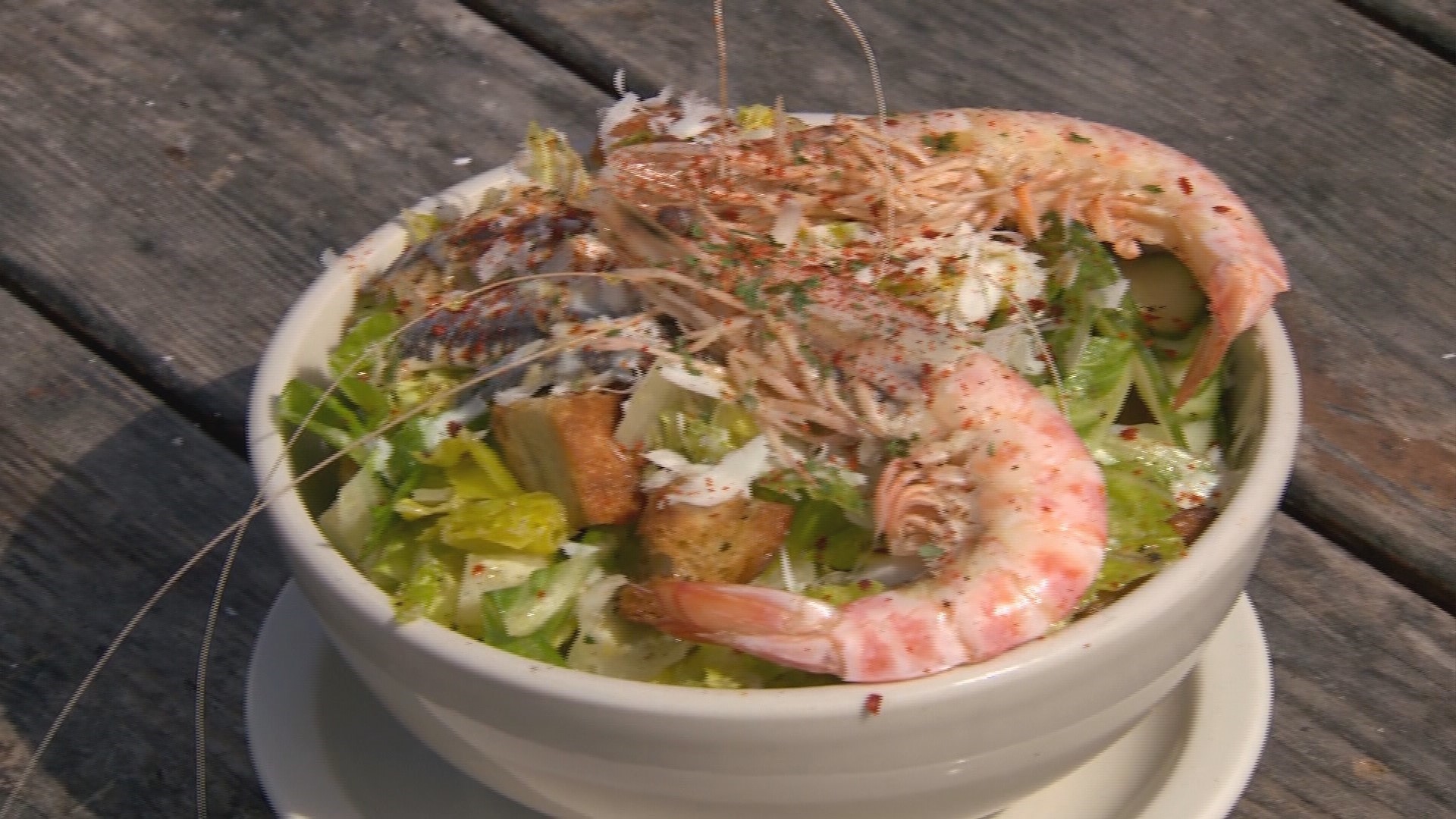 Taylor Shellfish is an Oyster Oasis right off Chuckanut Drive | king5.com