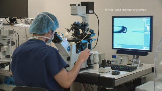 Seattle Local News | Seattle, Washington | king5.com