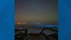 Waters off Washington coast glow blue with bioluminescence | king5.com