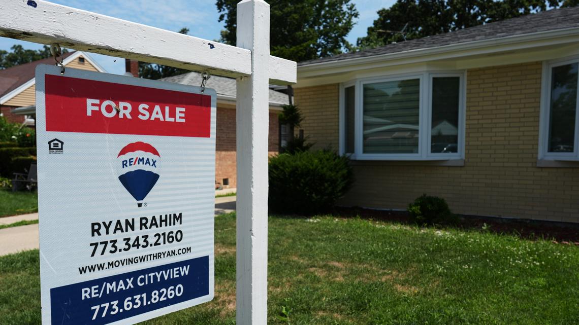 Catffeinated, a cat cafe, moves from Tacoma to Puyallup | king5.com