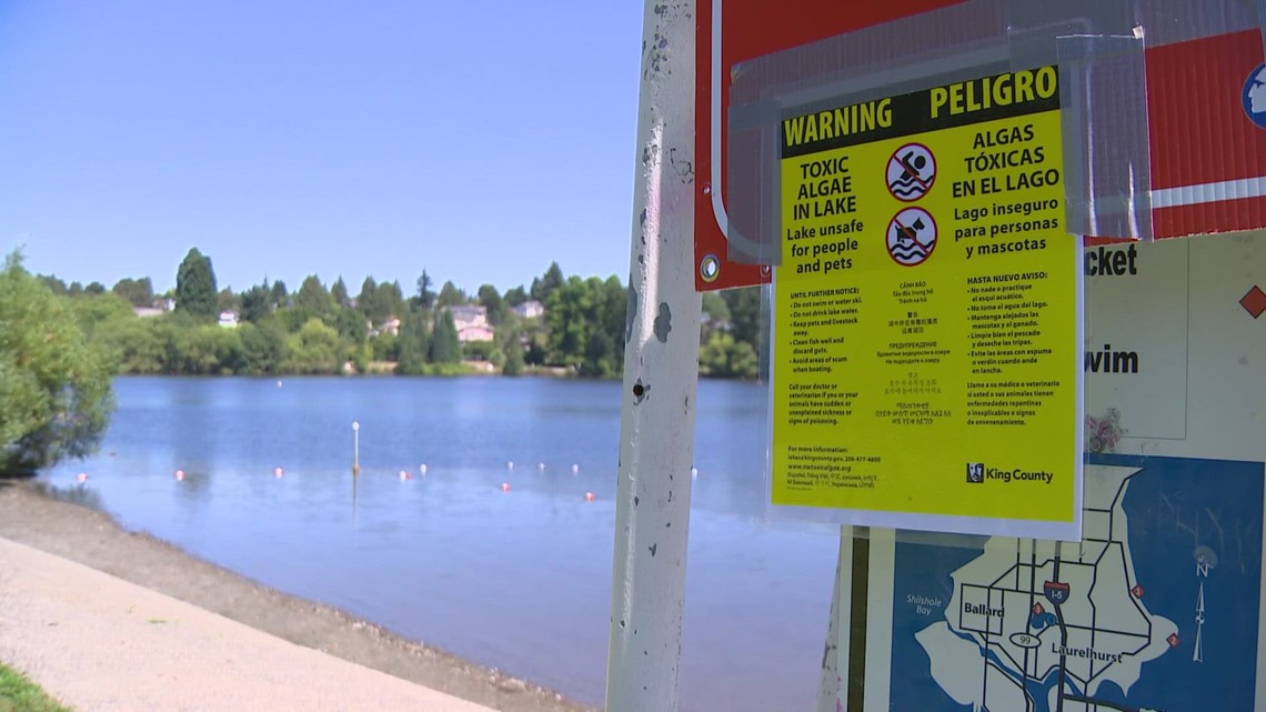 Green Lake closed due to toxic algae | king5.com
