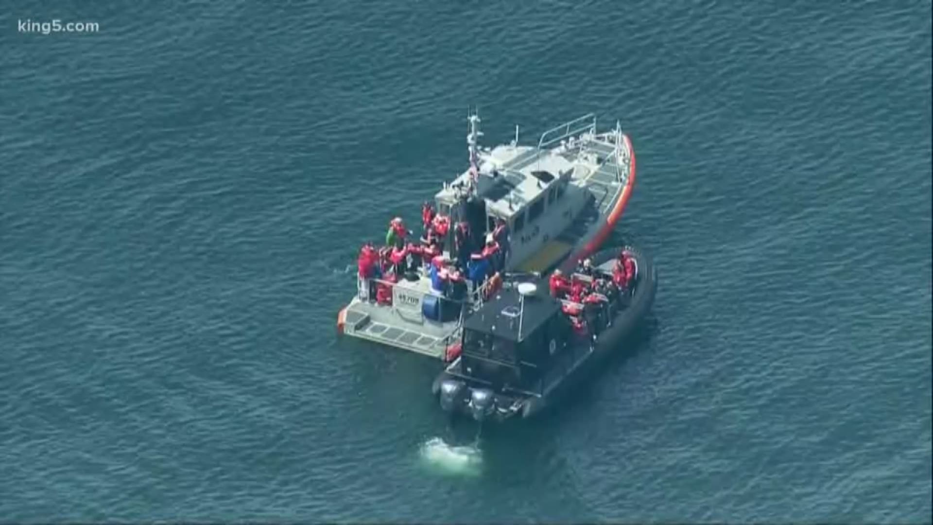 Dozens rescued from whale watching boat near Whidbey Island | king5.com